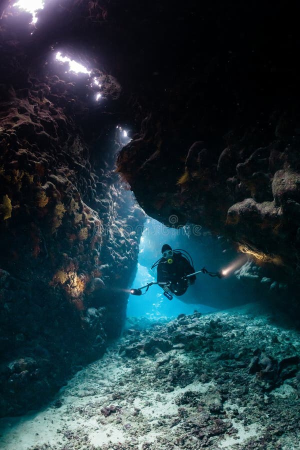 Typical Underwater Cave in a Red Sea Reef Stock Image - Image of ocean ...