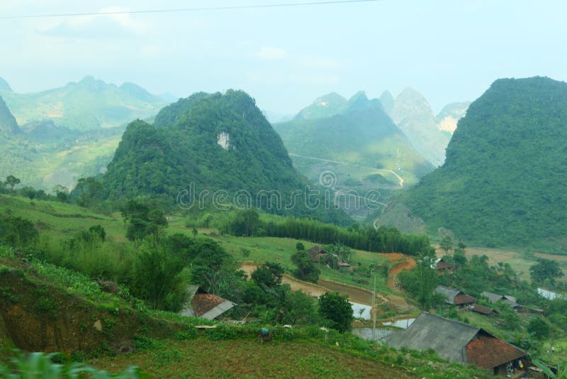 Typical Vietnamese Landscape in Spring with Rice Fields Stock Image ...