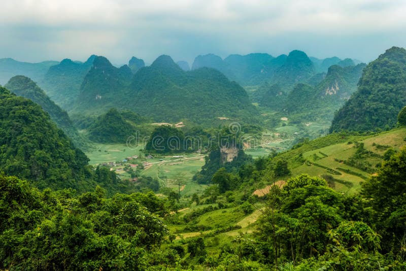 Typical Vietnamese Landscape in Spring with Rice Fields Stock Photo ...