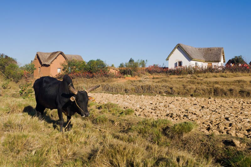 Typical village stock image. Image of landmark, scenery - 24396507