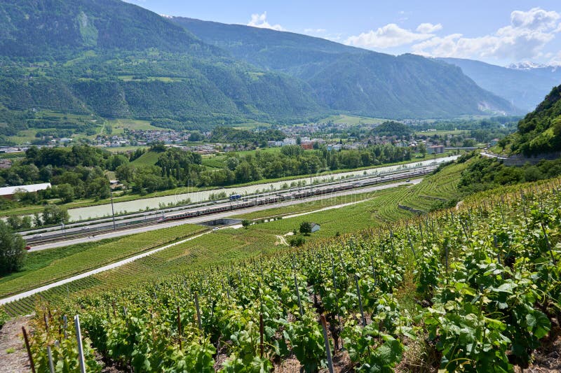 Typical Vineyard in the Region of Sierre, Valais, Switzerland Stock ...