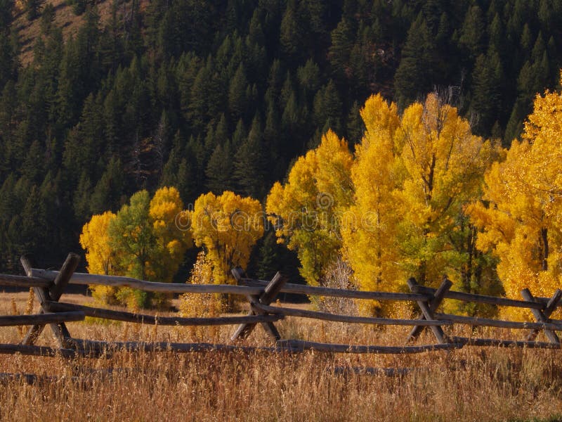 Fence in the Fall stock image. Image of leaves, foliage - 3476011