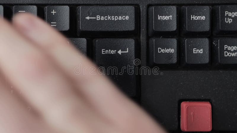 Typing on the Computer Keyboard and Pressing the Enter Key. Entering ...