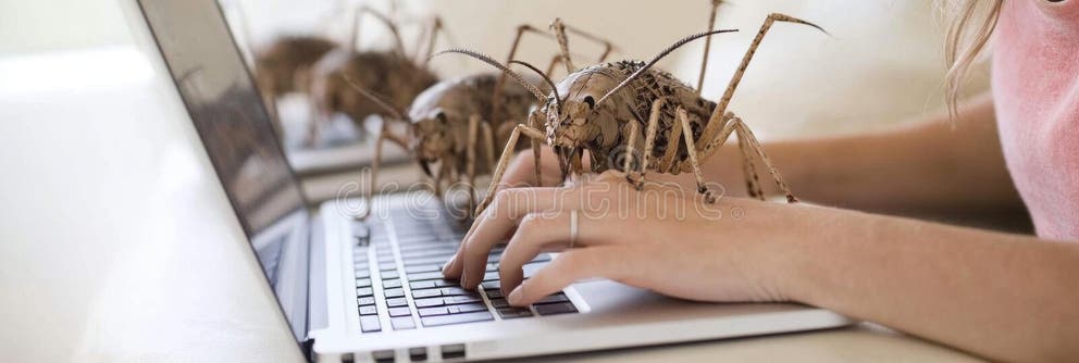 Typing with Insects on Screen Represent Computer Error and Bug Concept ...