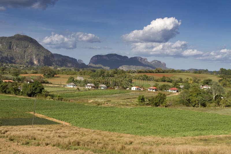 Typisch Cubaans landschap stock foto. Image of land, installatie - 28709014