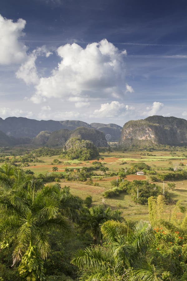 Typisch Cubaans landschap stock foto. Image of land, installatie - 28709014