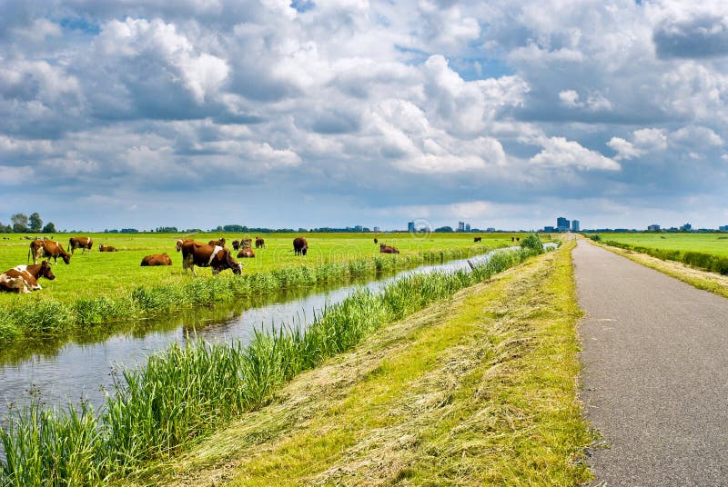 Typisch Nederlands Landschap Stock Foto - Afbeelding bestaande uit mooi ...