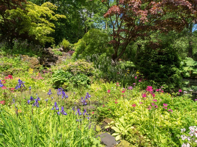 Typische Engelse Tuin stock afbeelding. Image of engels - 9190243
