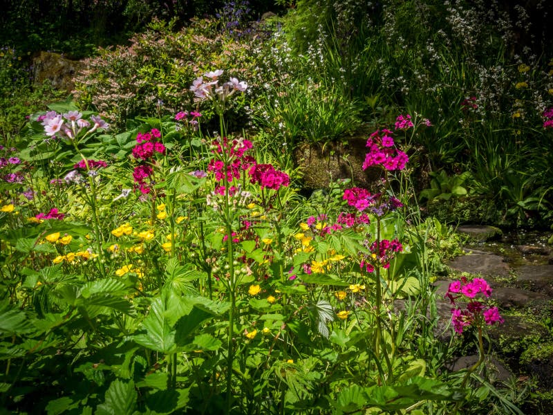 Typische Engelse Tuin stock afbeelding. Image of engels - 9190243