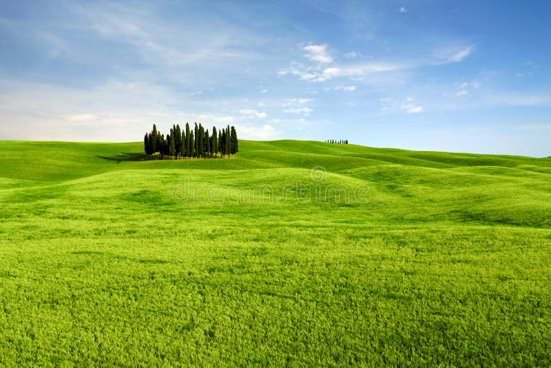 Typische Landschaft in Toskana, Italien Stockbild - Bild von gras ...