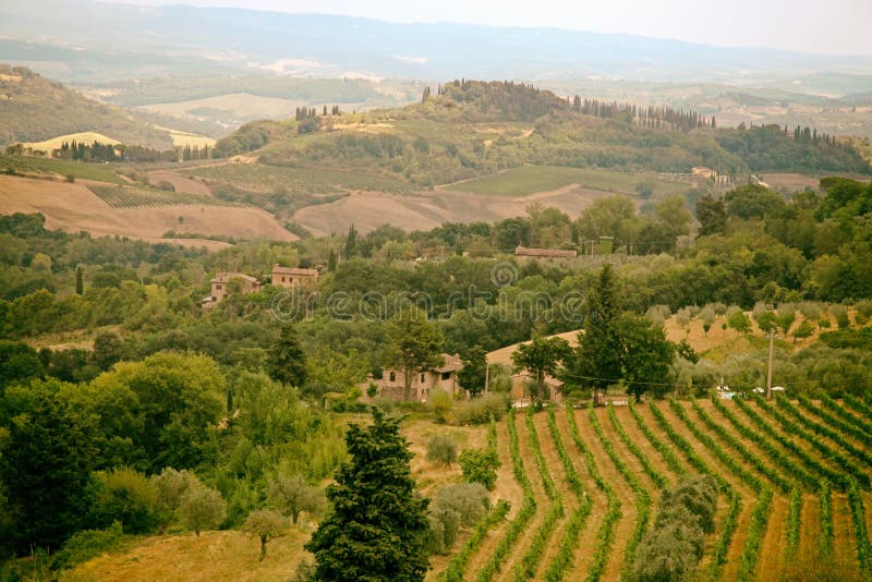 Typische Toskana-Landschaft, Italien Stockfoto - Bild von fallen, feld ...