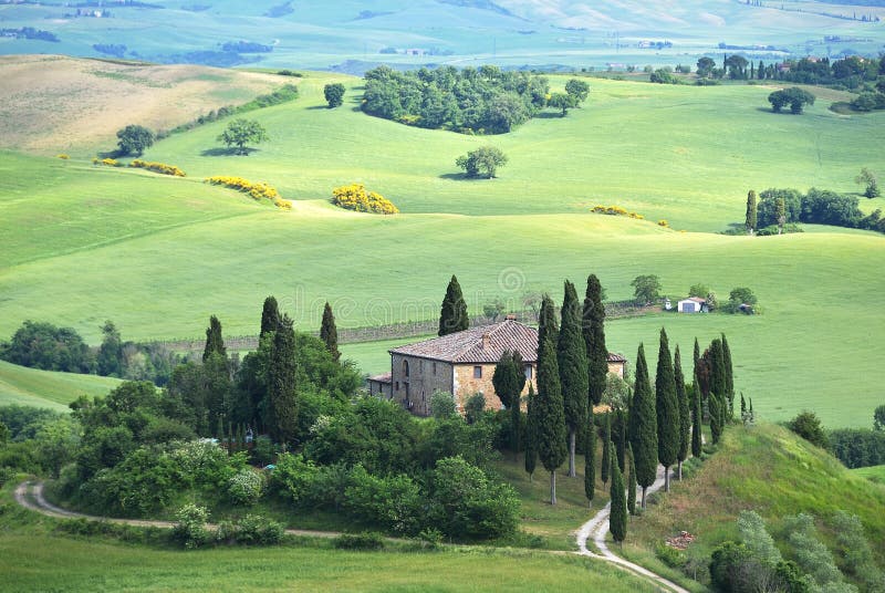 Typische Toskanische Landschaft Italien Stockbild - Bild von grün, feld ...