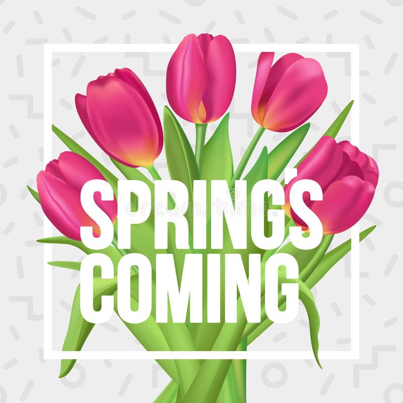 Typographic Spring Poster with Tulips Bouquet. Spring`s Coming! Stock ...