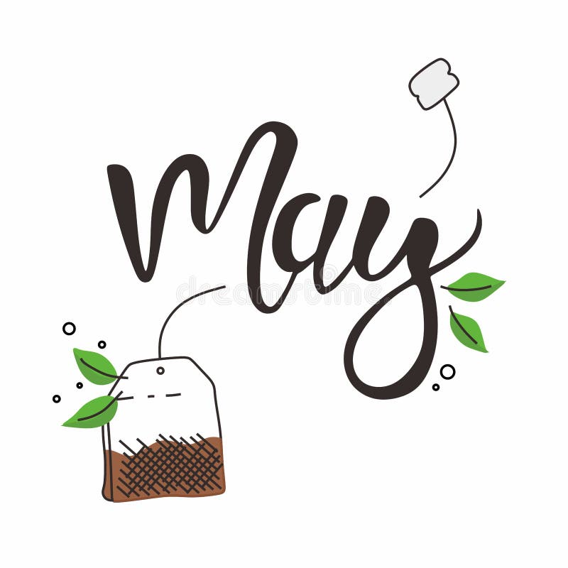 Typography of May with Tea Bag and Leaf Stock Vector - Illustration of ...