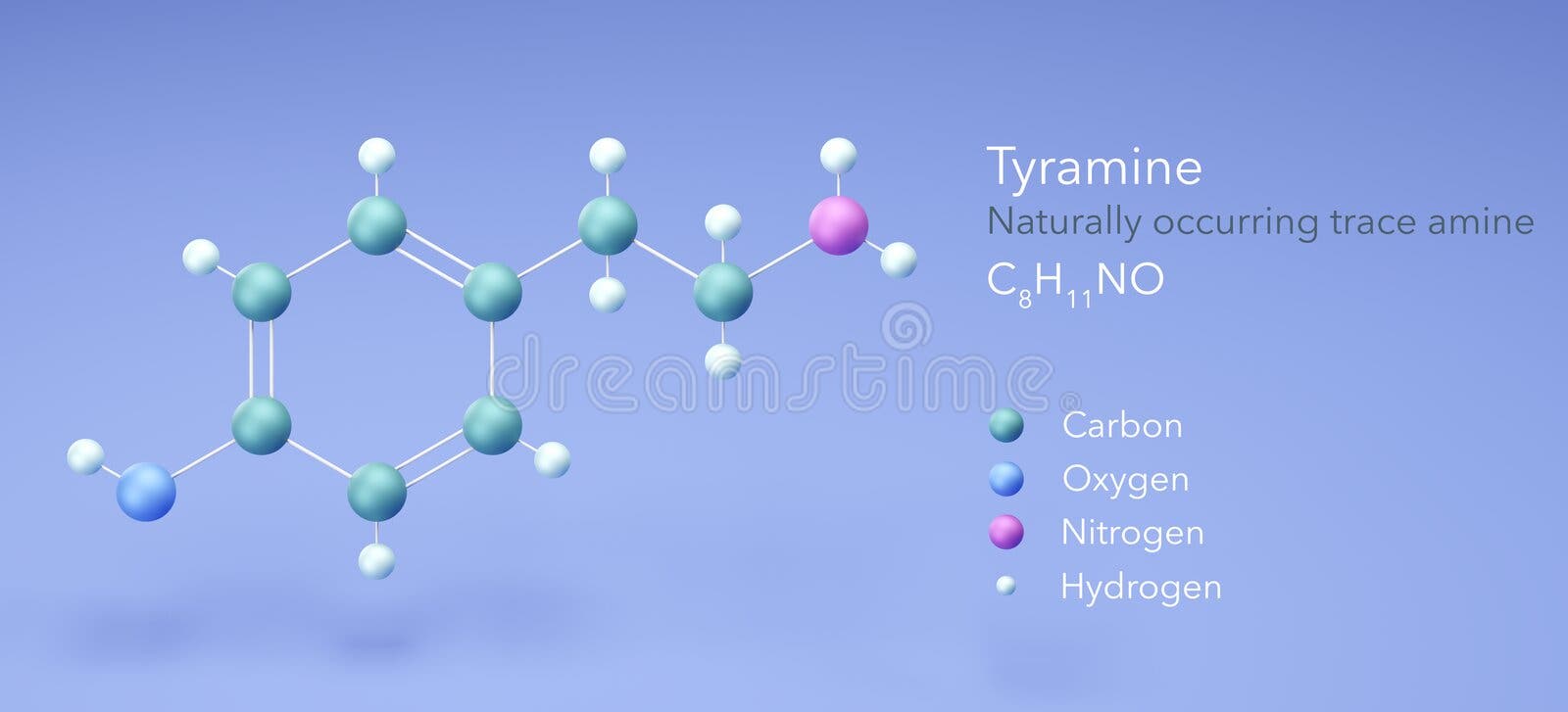 Tyramine, Tyramin Molecule. it is Monoamine Compound Derived from ...