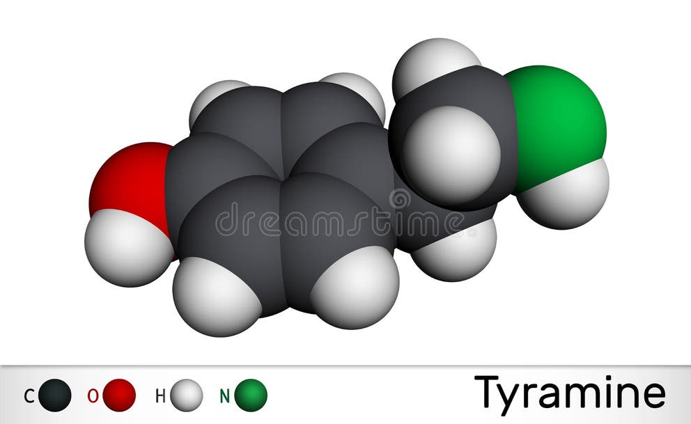 Tyramine, Tyramin Molecule. it is Monoamine Compound Derived from ...
