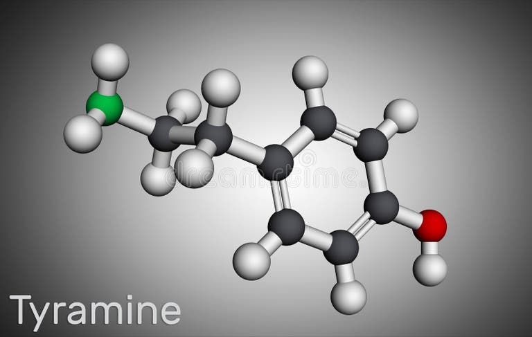 Tyramine, Tyramin Molecule. it is Monoamine Compound Derived from ...