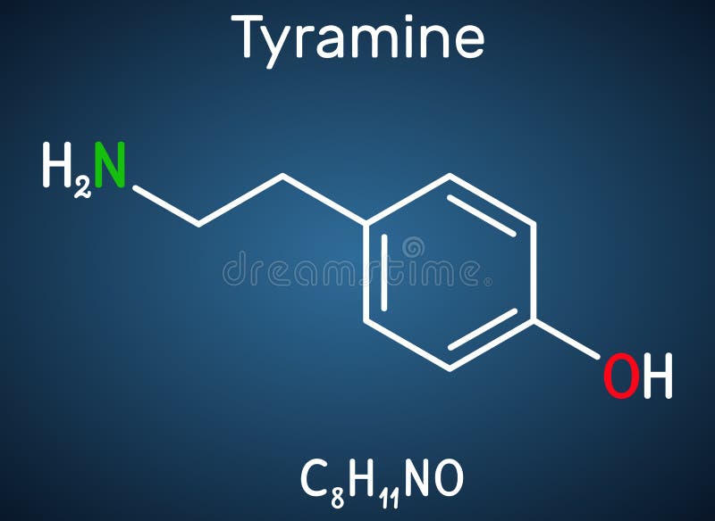 Tyramine, Tyramin Molecule. it is Monoamine Compound Derived from ...