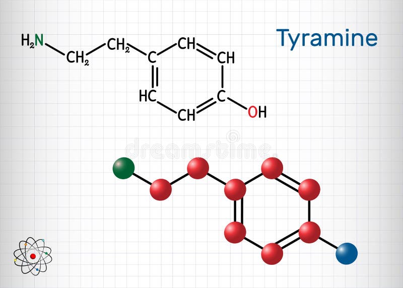 Tyramine, Tyramin Molecule. it is Monoamine Compound Derived from ...