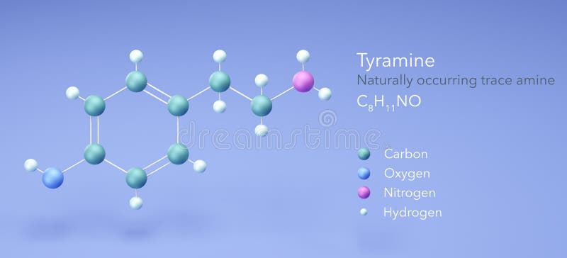 Tyraminemoleculaire Structuren Sporen Amine 3d Model Structuurformule ...