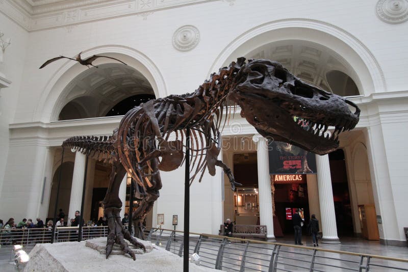 Tyrannosaurus editorial photo. Image of dinosaur, fear - 19038226