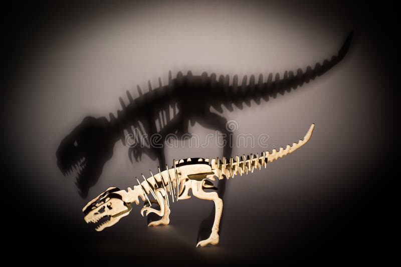Tyrannosaurus rex stock photo. Image of fossil, fierce - 26960320