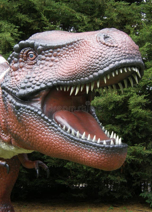 Tyrannosaurus Rex Head stock photo. Image of tongue, dinosaur - 3042120