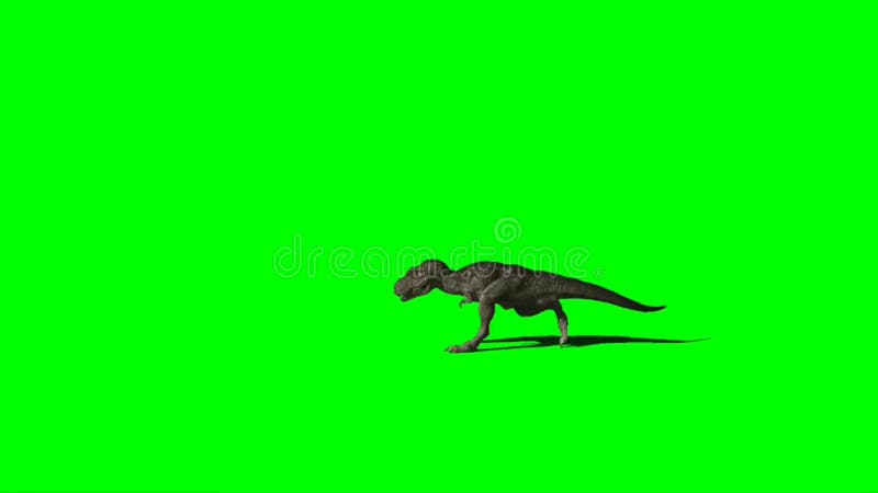 Tyrannosaurus Rex Running on Green Screen Stock Footage - Video of ...
