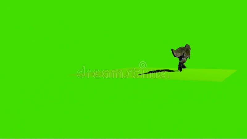 Tyrannosaurus Rex Running on Green Screen Stock Video - Video of park ...