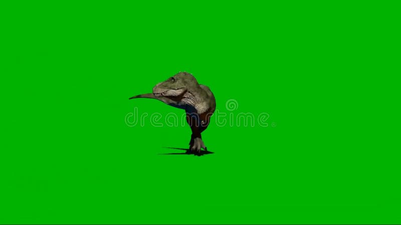 Tyrannosaurus Rex Running on Green Screen Stock Video - Video of ...
