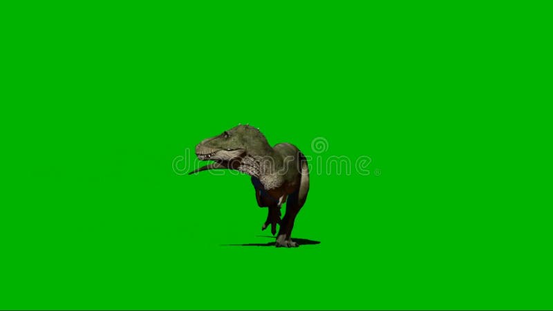 Tyrannosaurus Rex Running on Green Screen Stock Footage - Video of ...