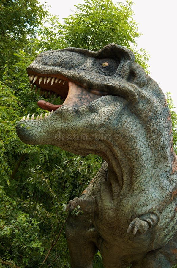 Tyrannosaurus Rex stock photo. Image of muzzle, excavation - 48360976