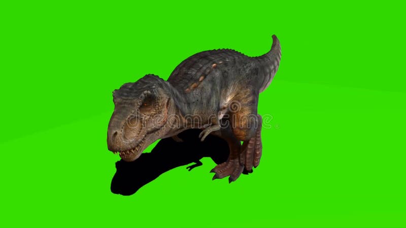 Tyrannosaurus Rex Walking on Green Screen Stock Video - Video of danger ...