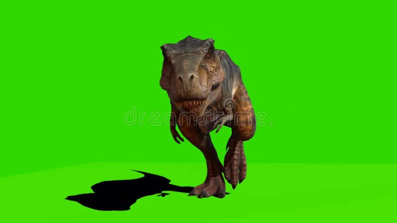 Tyrannosaurus Rex Walking on Green Screen Stock Video - Video of ...