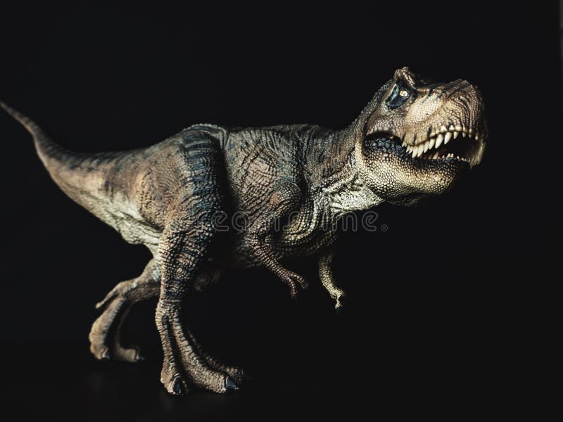 Tyrannosaurus T-rex Dinosaur on Black Background Stock Photo - Image of ...