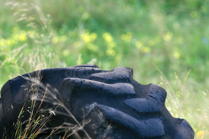Tyre in a field stock image. Image of environment, environmental - 12223441