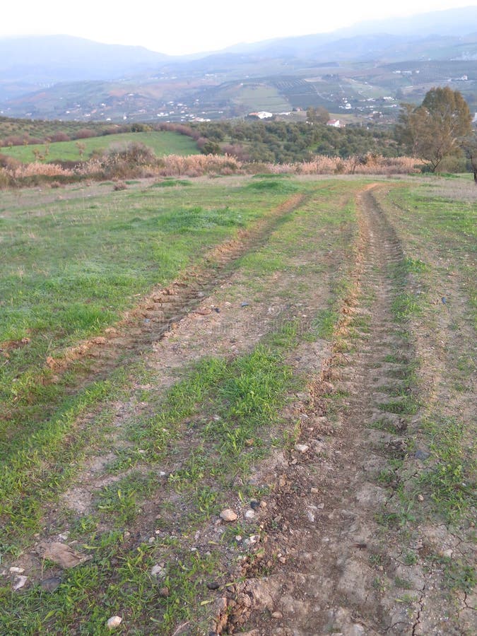 Tyre tracks in field stock image. Image of tractor, agriculture - 84654545