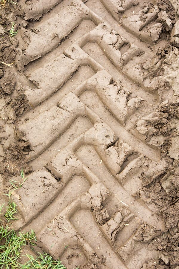 Tyre tracks in the mud stock image. Image of outdoor - 43440815