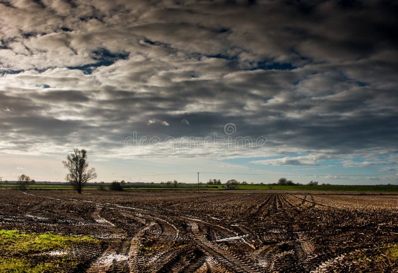Tyre tracks in wet mud stock photo. Image of fields, field - 62632242