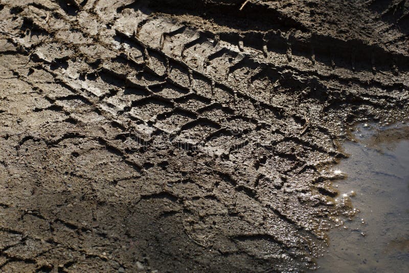 Tyre tread pattern in mud stock photo. Image of cracked - 110689272