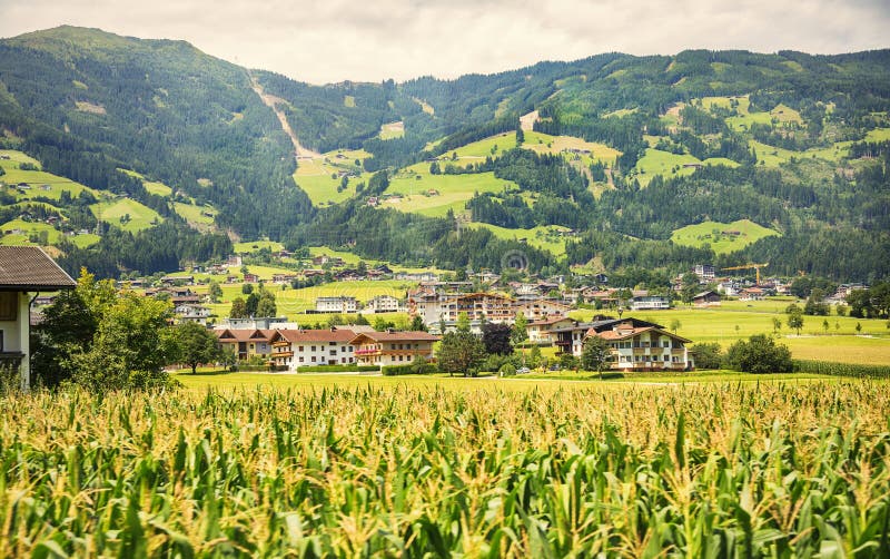 Tyrol Nature, Area Fugen, Austria Stock Image - Image of landscape ...