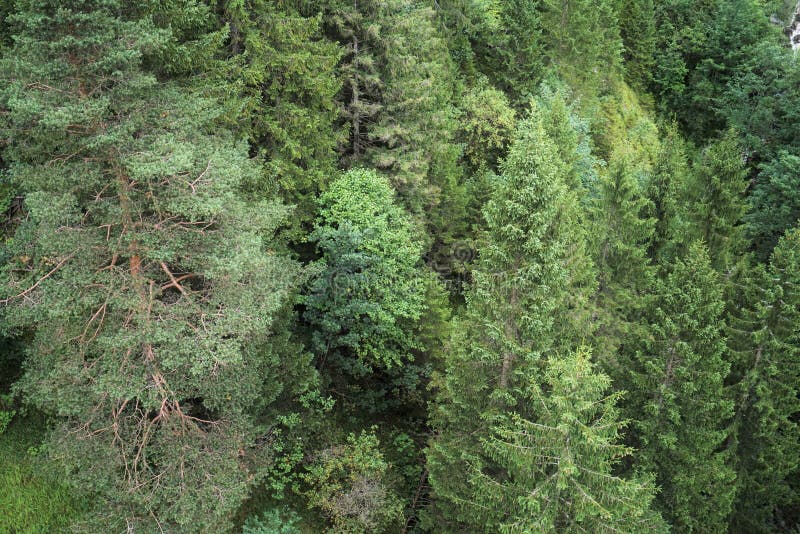 Tyrolean Alps stock image. Image of landscape, alps, disconnected ...