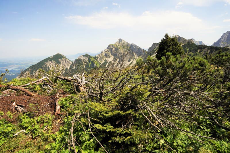 Tyrolean Alps stock image. Image of hill, journey, exploration - 98332339