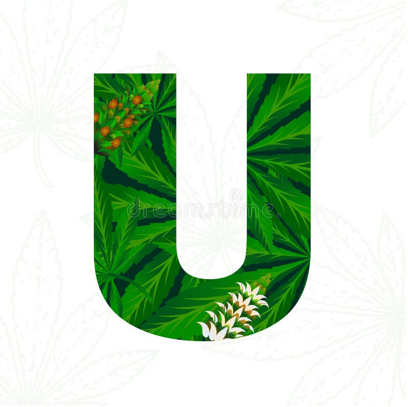 A Letter with Cannabis Leaf for Logo Design. Stock Vector ...