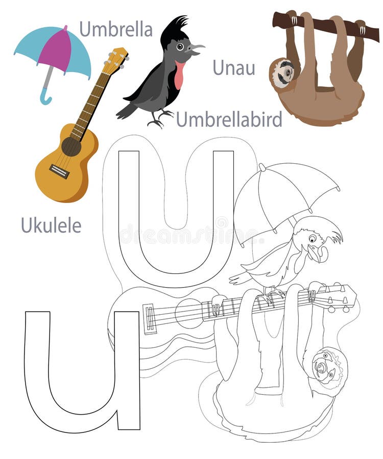 Capital Simple Letter U Words Picture Coloring Page Stock Illustration ...