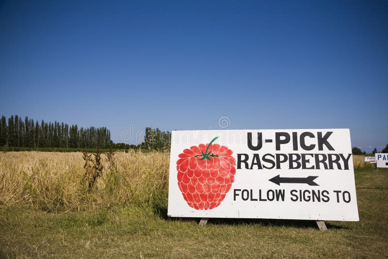 U Pick Rasberry Sign stock image. Image of organic, landscape - 7799365