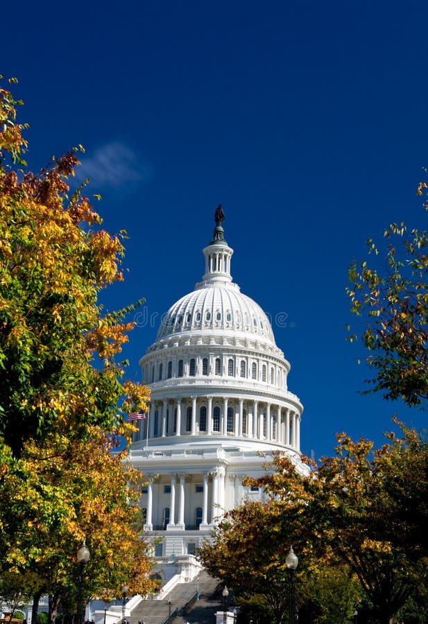 U.S. Capital Building Washington DC Autumn Yellow Stock Photo - Image ...