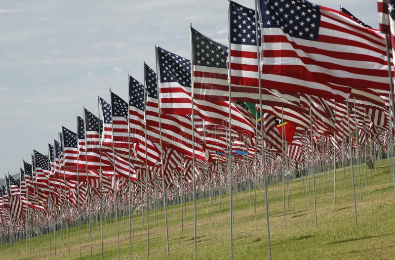 U.S. Flags - Memorial Display Stock Photo - Image of honoring, white ...