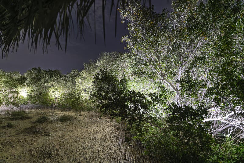 UAE - Abu Dhabi - Samaliyah Island - Manar - Life is Continuous Light ...