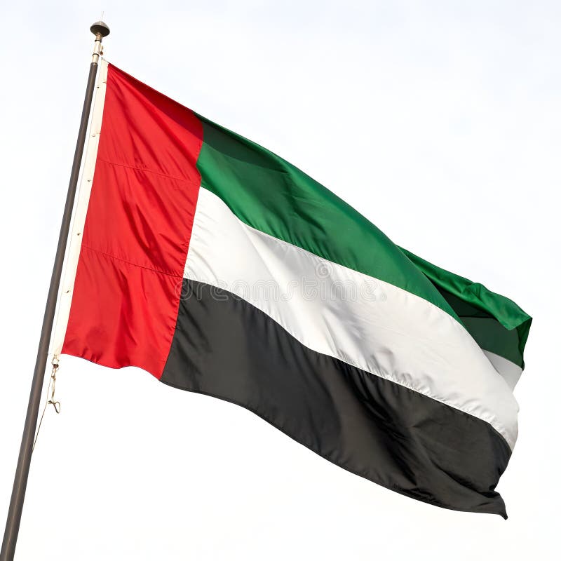 Flapping Flag Stock Illustrations – 7,055 Flapping Flag Stock ...